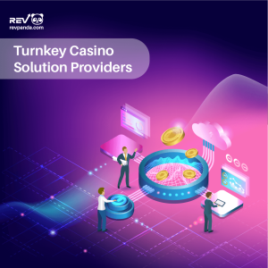 Best Turnkey Online Casino Solution Providers in 2025